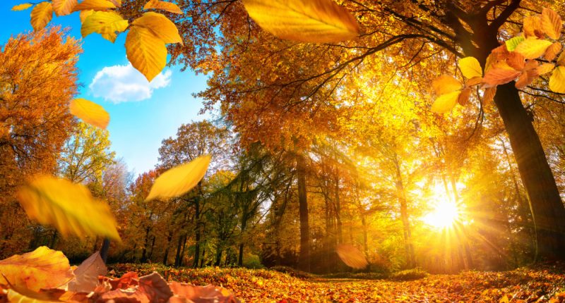 How to adapt to Autumn, daylight savings and its effects on your body ...